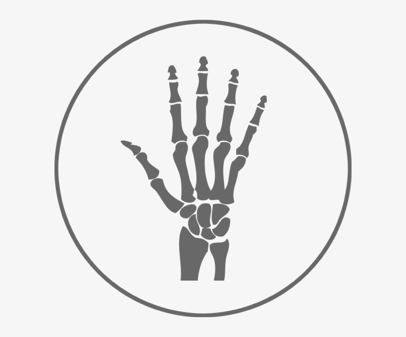 Anatomy-icon - Anatomy Icon Png Transparent PNG - 600x600 - Free ...
