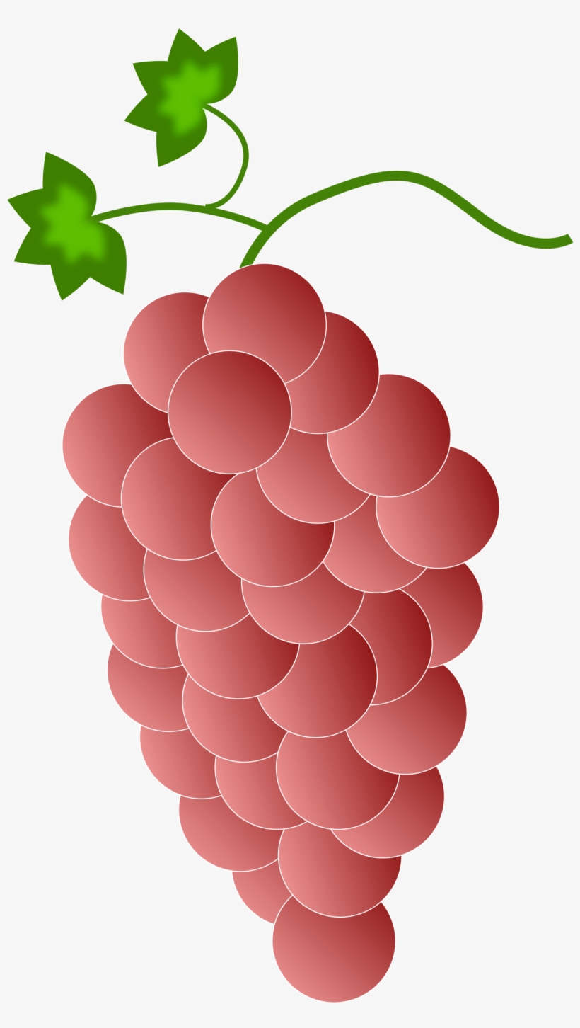 Clipart - Red Grapes - Red Grapes Clipart Transparent PNG - 1368x2356 ...