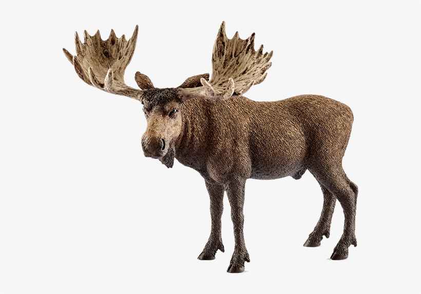 Schleich 14781 Moose Bull, , Large - Schleich Moose Transparent PNG ...