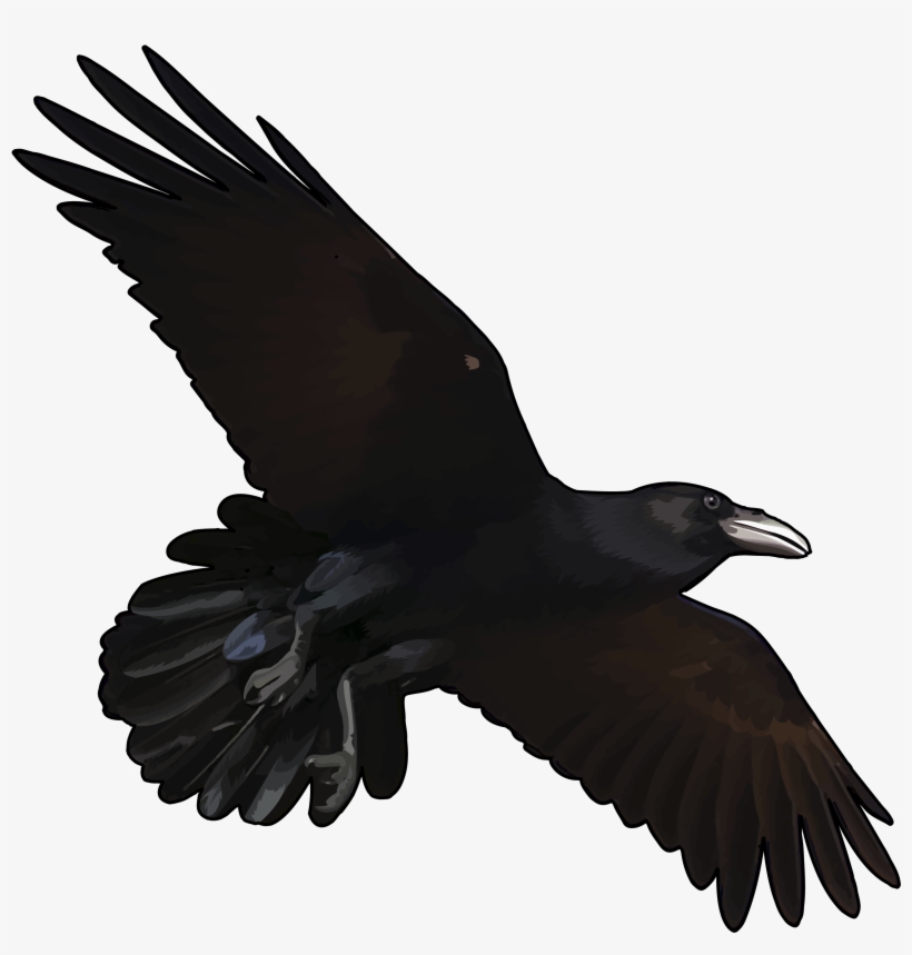 Cuervos Volando Png - Cuervo Volando Png Transparent PNG - 2480x3508 ...