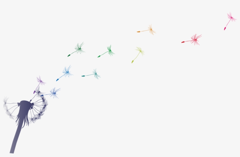 Dandelion Seed Drawing