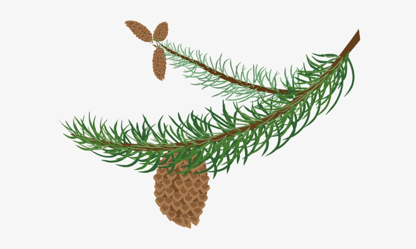 Pine Needle Clip Art