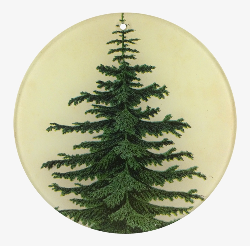 Jpeg Transparent PNG - 800x800 - Free Download on NicePNG