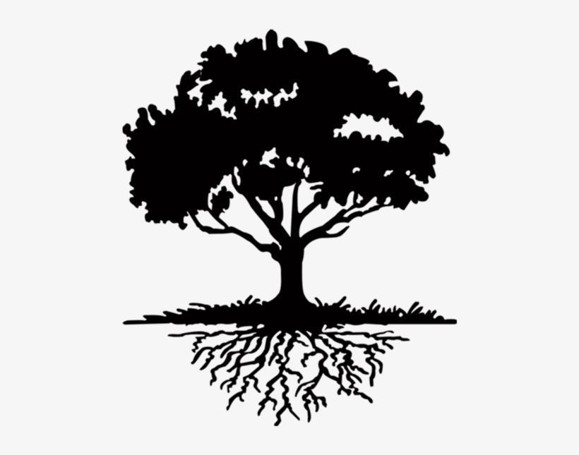 Tree Png - Colossians 2 7 Transparent PNG - 1000x1000 - Free Download ...