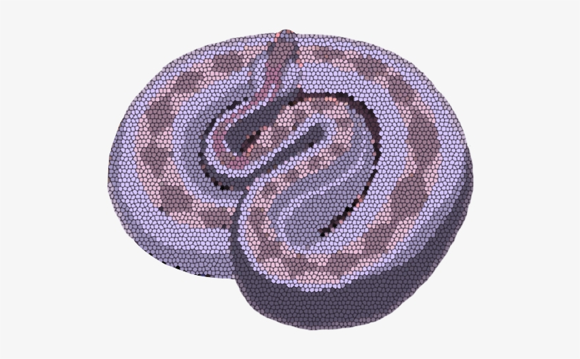 A Rattlesnake Is A Type Of Viper, Called A Pit Viper - Circle ...