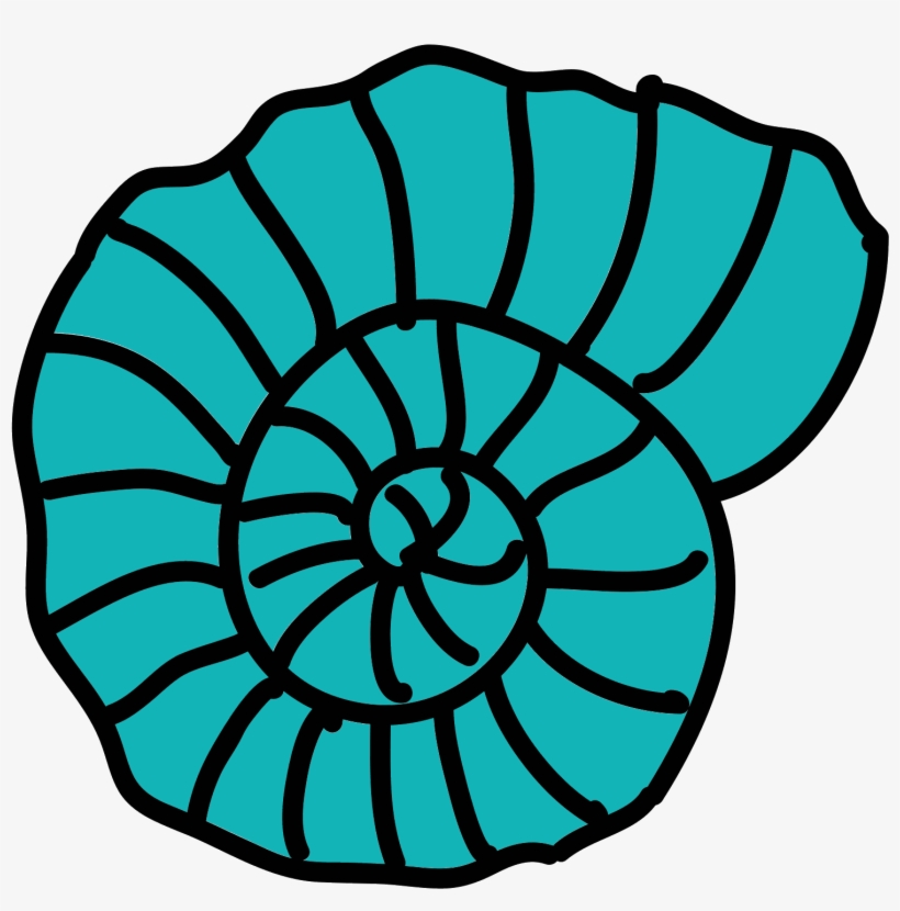 Shell Icon