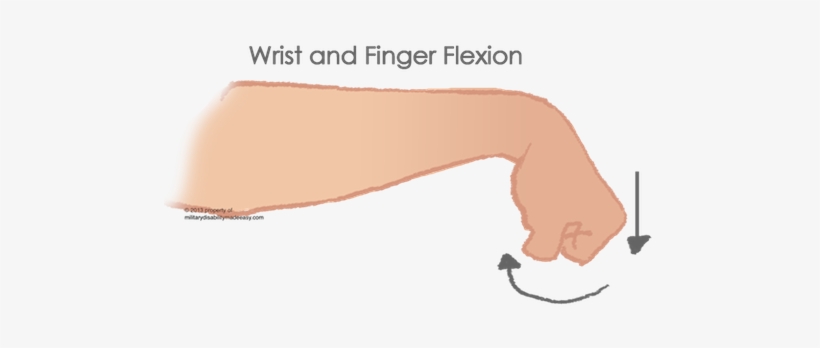 Wrist And Finger Flexion 1 - Wrist Flexion Finger Flexion Transparent ...
