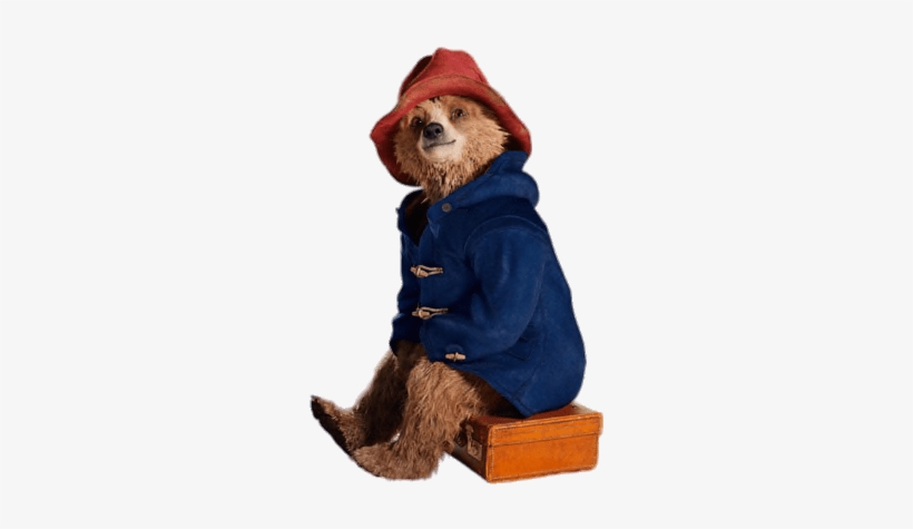 Download Descargar - Paddington Bear Paddington Memes - HD Transparent ...