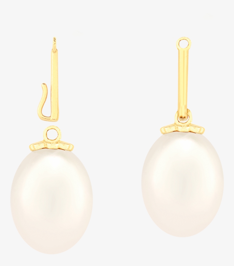 Loading Zoom - Earrings Transparent PNG - 1000x1000 - Free Download on ...