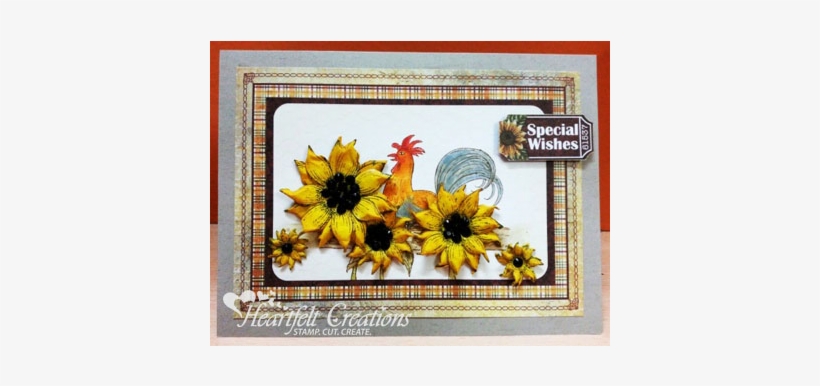 Black-eyed Susan Transparent PNG - 400x400 - Free Download on NicePNG