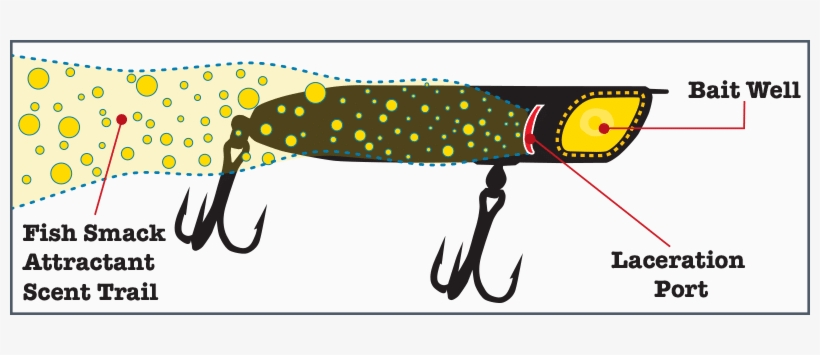 Class= Transparent PNG - 800x275 - Free Download on NicePNG