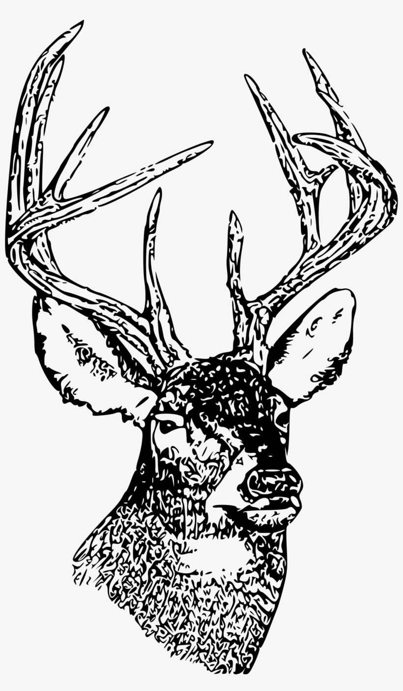 This Free Icons Png Design Of Whitetail Deer Head Transparent PNG ...