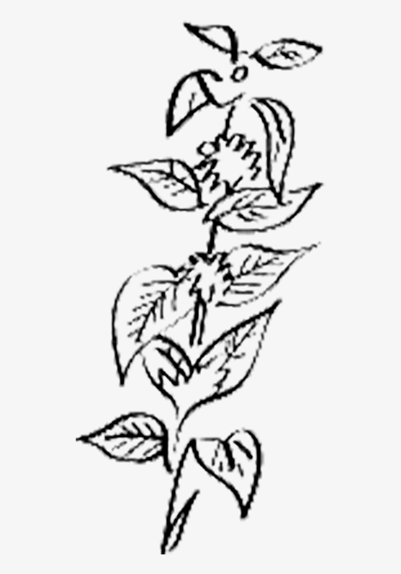 Download Prolog Logo Background - Prolog Logo - HD Transparent PNG ...