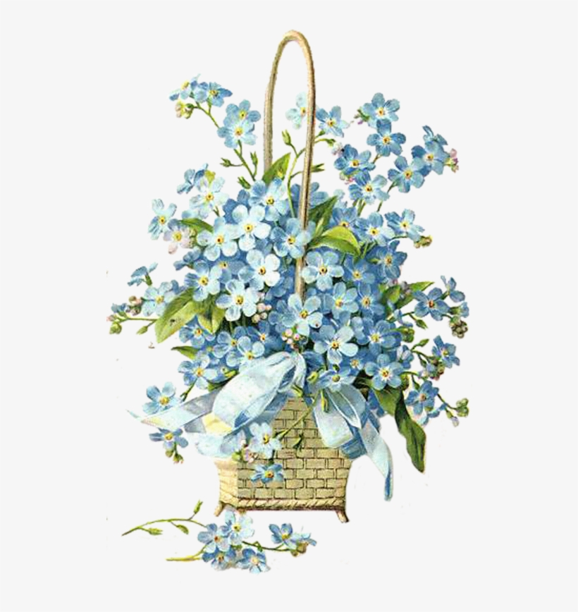 Фото, Автор Ladylony На Яндекс - Bird Forget Me Not Illustration ...