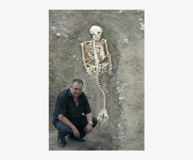 Mermaids The Body Found Skeleton