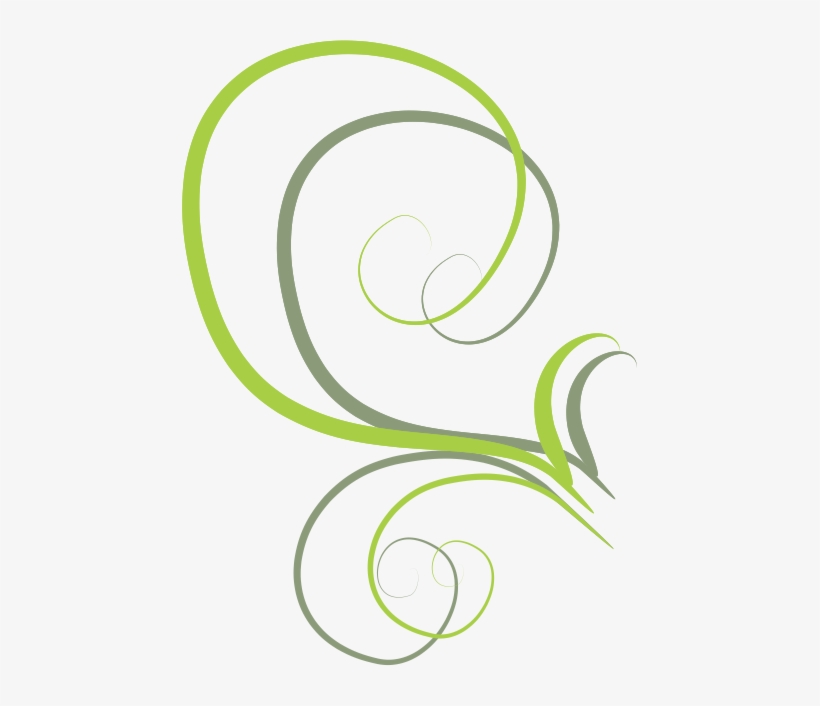 Colorful Curl Design Png Transparent PNG - 455x626 - Free Download on ...