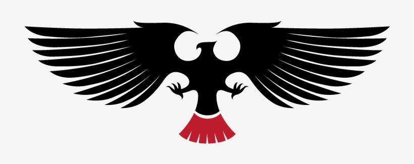 Redtail Catering - Red Tail Hawk Logo Transparent PNG - 1200x254 - Free ...