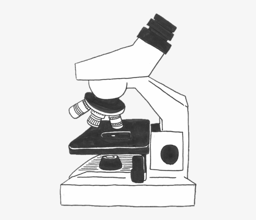Com/wp Invisible Bg - Microscope Transparent PNG - 564x808 - Free ...
