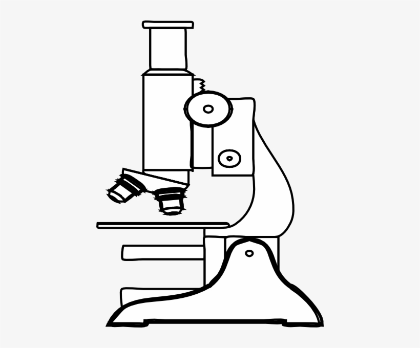 Outline Picture Of Microscope Transparent PNG - 444x600 - Free Download ...