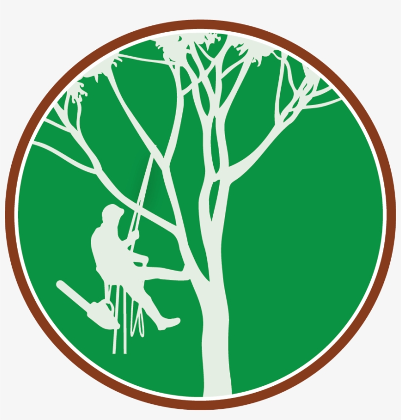 Tree Climber Clipart