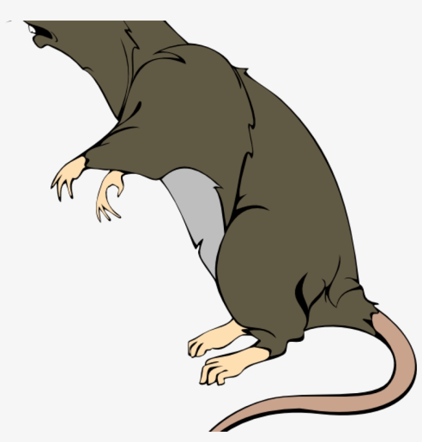 Rat Clipart Grey Greedy Clip Art At Clker Vector Online - Clip Art ...