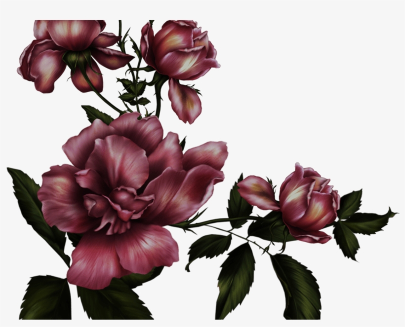 Download Gothic Rose Transparent Background Png Mart - Gothic Flowers ...
