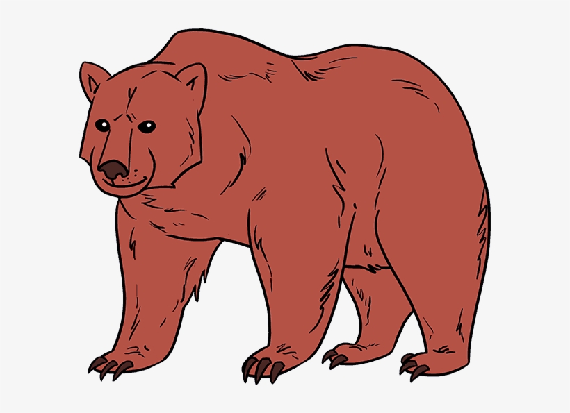 Download Sun Bear Clipart Realistic - Drawing - HD Transparent PNG ...