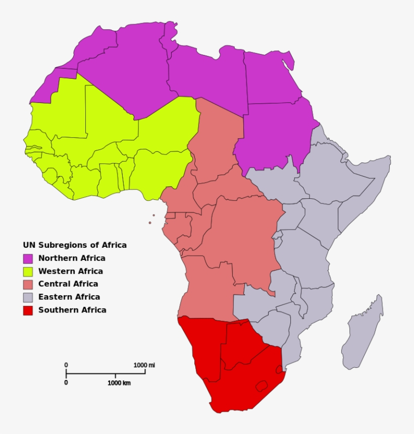 Geographers Divide The African Continent Into Several - Regions Of ...