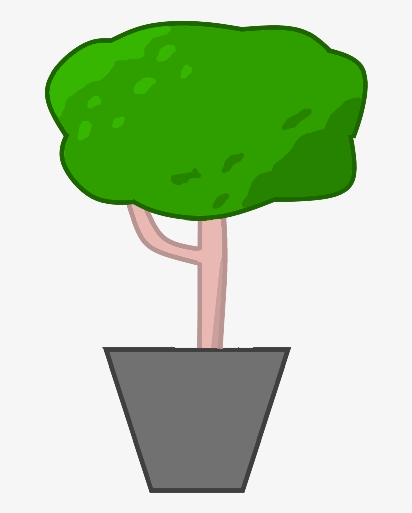 Potted Tree Transparent PNG - 700x1000 - Free Download on NicePNG