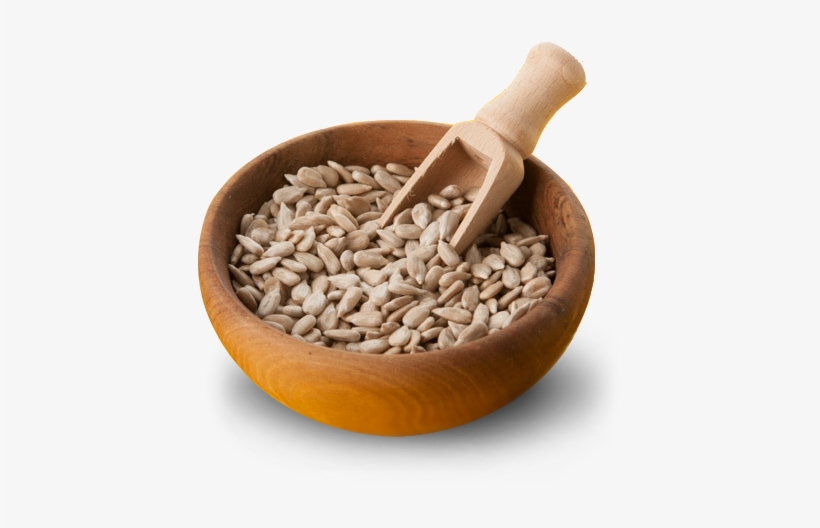 Malt Transparent PNG - 442x459 - Free Download on NicePNG