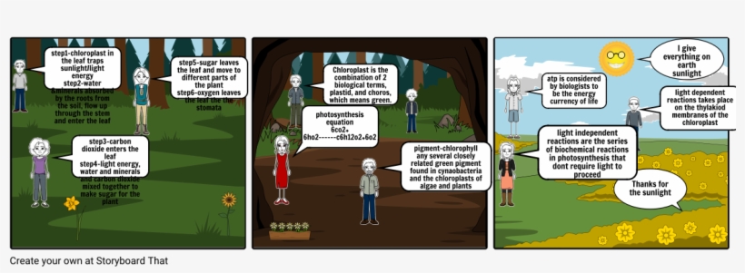 Photosynthesis Comic Strip Assignment
