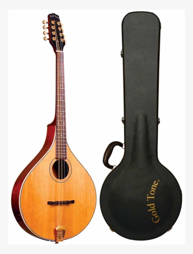 Gold Tone Model Om 800 8 String Solid Spruce Top Octave - Gold Tone ...