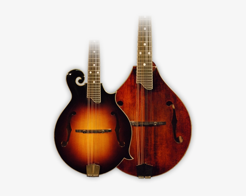 Eastman Mandolins - Mandolin Transparent PNG - 496x573 - Free Download ...