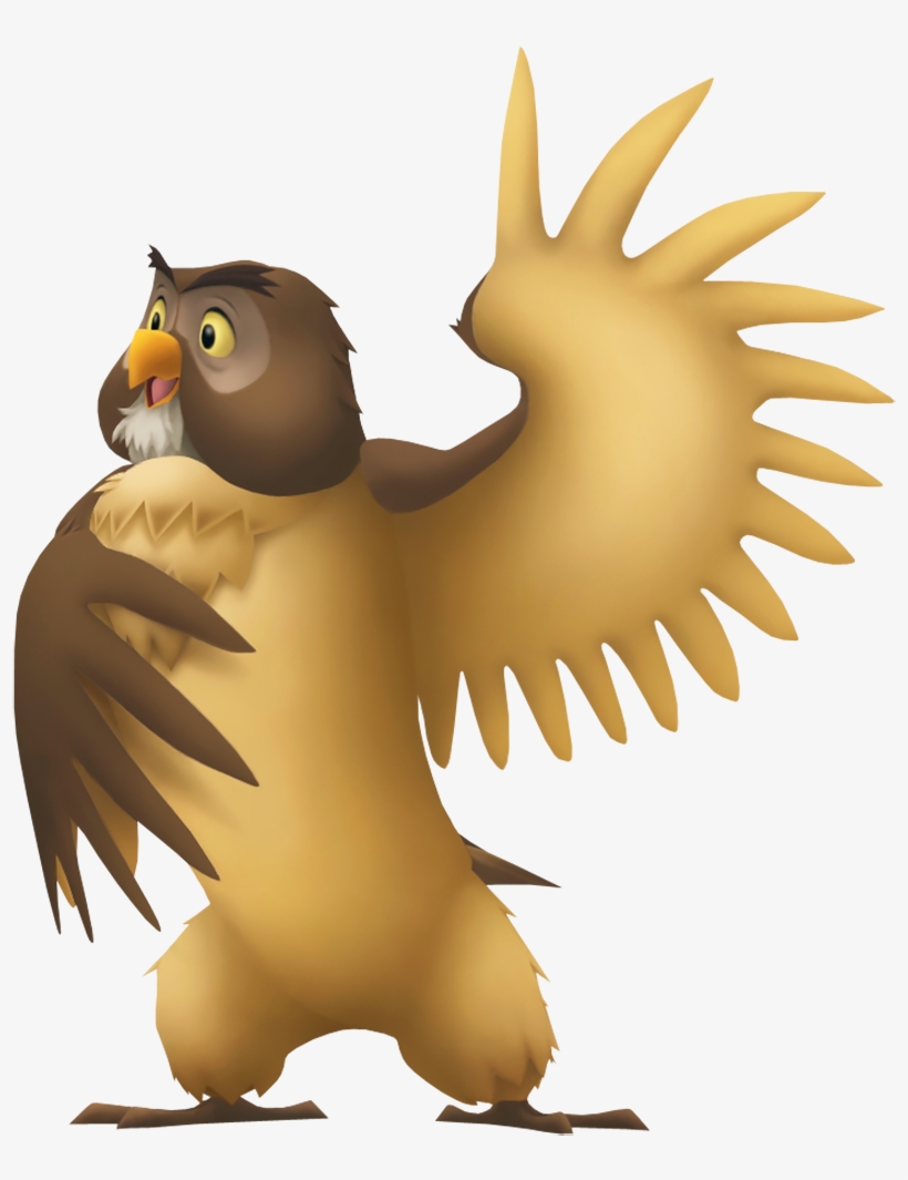 Cartoon Owl Png Transparent PNG - 833x1000 - Free Download on NicePNG