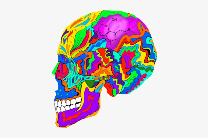 Grunge, Transparency, And Tumblr Image - Skull Transparent PNG ...