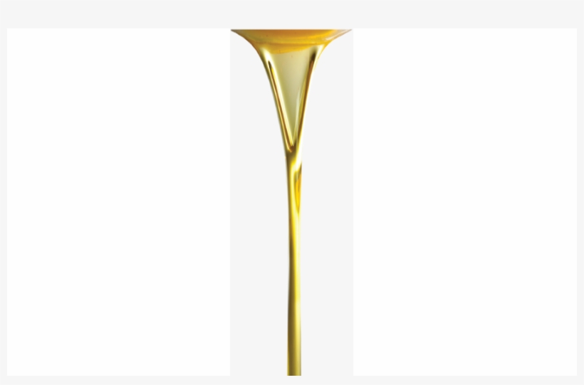 Malaysia Certifies Sustainability Of Its Palm Oil - Malaysia ...