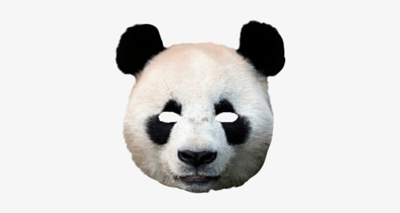 Mask Costume Scary Creepy Freetoedit Panda Animal - Panda Face Pillow ...
