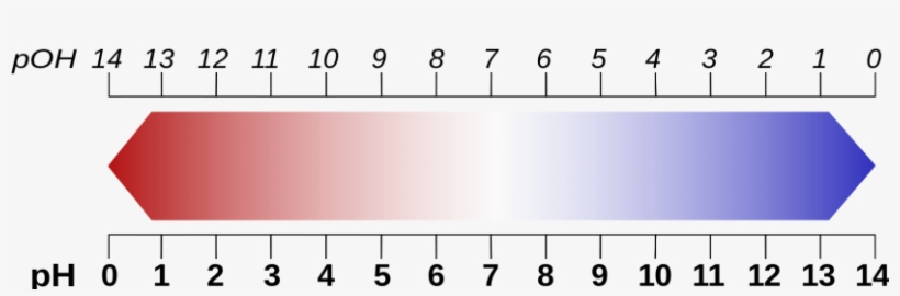 Escala De Ph - Ph And Poh Scale Transparent PNG - 830x233 - Free Download on NicePNG