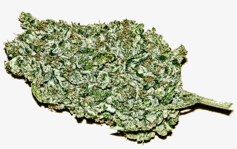 Og Kush Transparent PNG - 1000x580 - Free Download on NicePNG