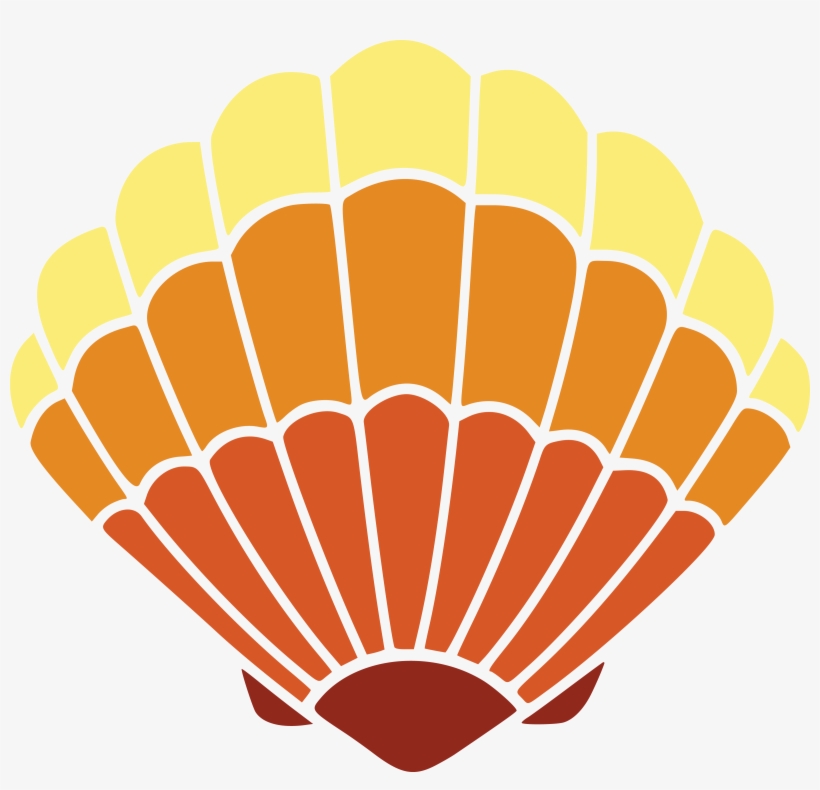 Go To Image - Sea Shell Png Vector Transparent PNG - 4000x3661 - Free ...