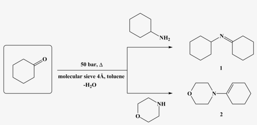 Cyclohexanone Reactions