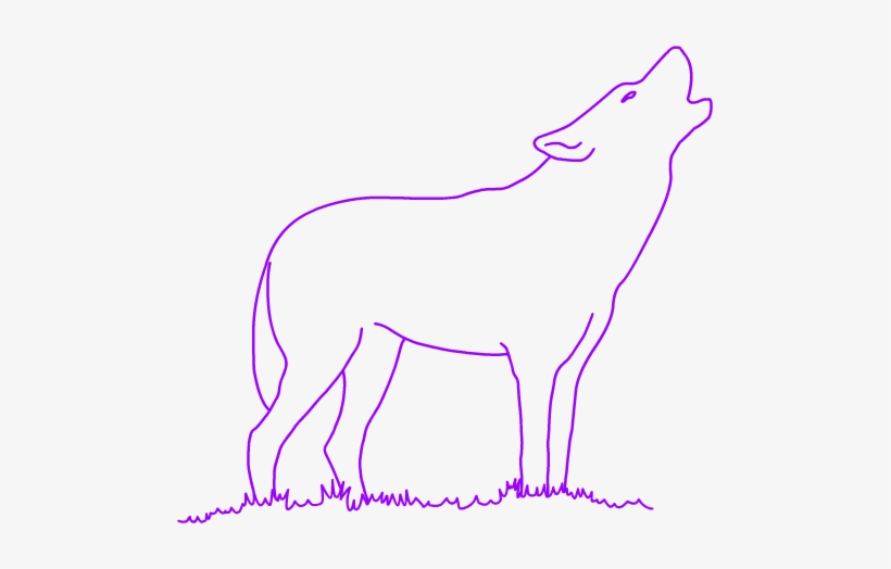 Download Howling Wolf Outline - Out Line Of Wolf - HD Transparent PNG ...