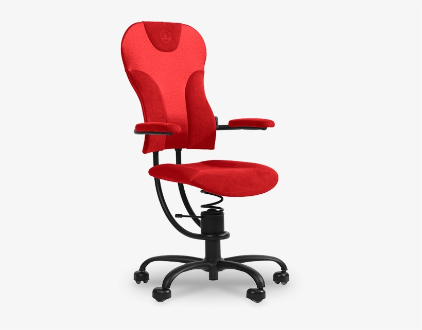 For All Those Who Sit Long Hours At Work And Suffer - Spinalis Stoli ...