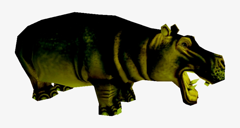 European Hippopotamus - Hippopotamus Transparent PNG - 718x718 - Free ...
