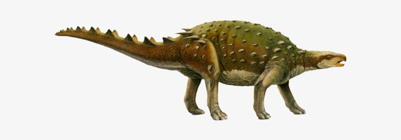 Minmi, Named After Minmi Crossing, Australia , Is A - Minmi Transparent ...