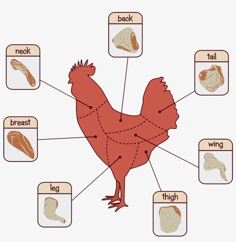 Lang Hing Wholesale Meat Different Parts Of A Chicken, 56% OFF