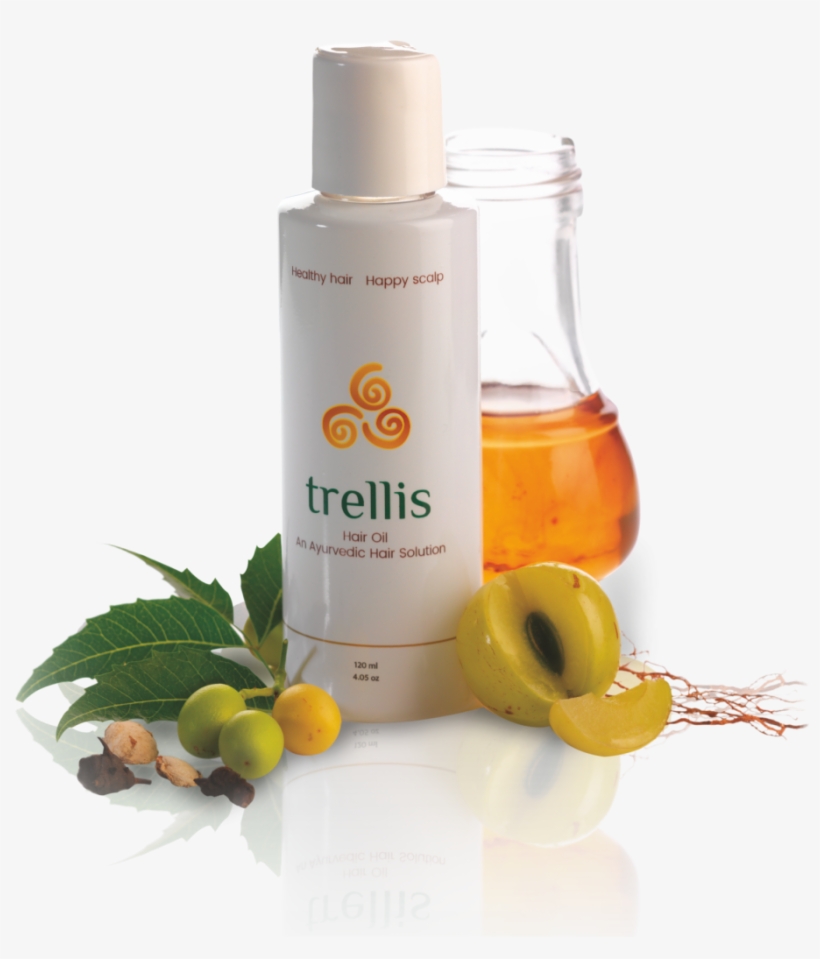 Trellis - Portable Network Graphics Transparent PNG - 913x1024 - Free ...