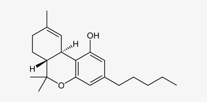 320 × 190 Pixels - Thc Molecule Vector Free Transparent PNG - 640x380 ...