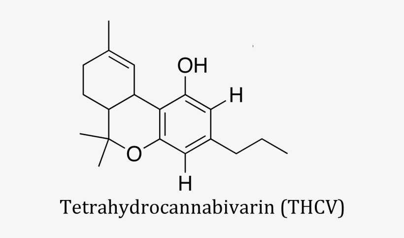 Download Thcv Molecule - Thc Structure - HD Transparent PNG - NicePNG.com