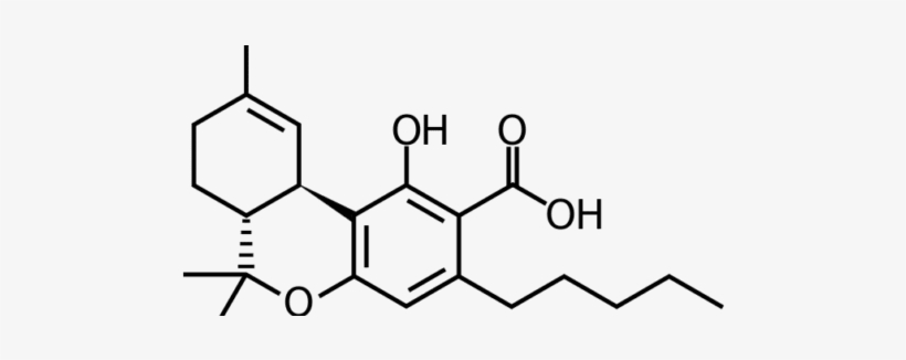 Cannabis In Molecules - Molecule For Thc Transparent PNG - 520x245 ...